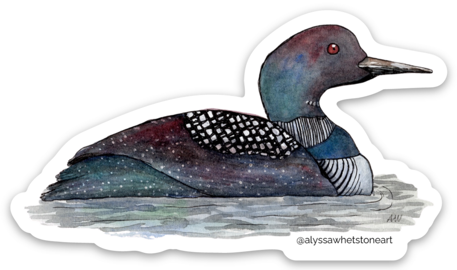 Loon - Vinyl Decal Sticker – Northern Goods